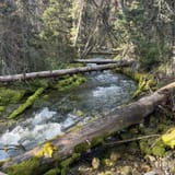 Karst Spring Trail, Alberta, Canada - 830 Reviews, Map | AllTrails