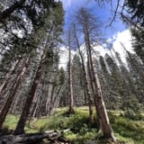Raspberry Mountain Trail via Ring the Peak Trail, Colorado - 1,745 ...