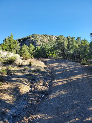 Best Hikes and Trails in Steptoe Park | AllTrails
