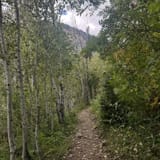 Scout Falls via Mount Timpanogos Trail, Utah - 2,155 Reviews, Map ...