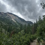 Scout Falls via Mount Timpanogos Trail, Utah - 2,155 Reviews, Map ...