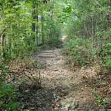 Stringer's Ridge via Cherokee and Strut Trail, Tennessee - 462 Reviews ...