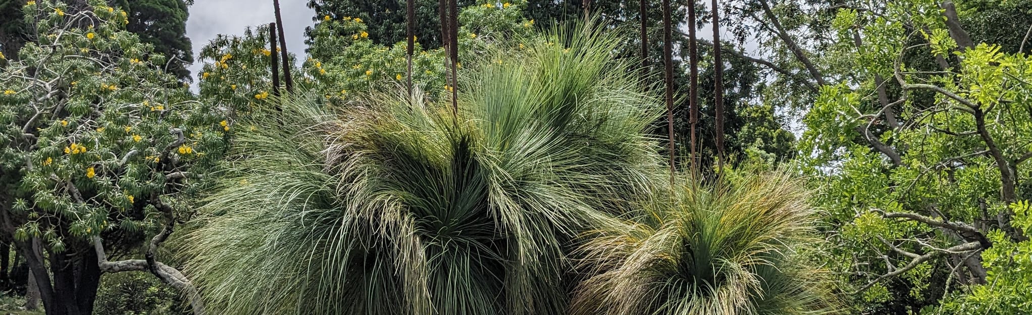 Manuka Nature Trail : 63 Photos - Hawaii, Hawaii | Randonnée | AllTrails