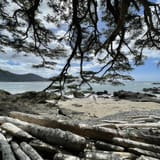 Raft Cove Trail, British Columbia, Canada - 65 Reviews, Map | AllTrails