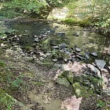 Sycamore Trail Loop, North Carolina - 1,415 Reviews, Map | AllTrails
