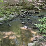Sycamore Trail Loop, North Carolina - 1,415 Reviews, Map | AllTrails