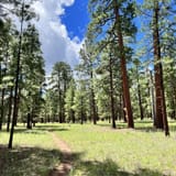 Mars Hill Trail Loop, Arizona - 1,365 Reviews, Map | AllTrails