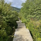 Sam's Knob and Little Sam Loop , North Carolina - 482 Reviews, Map ...