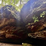 Panther Den Loop, Illinois - 844 Reviews, Map | AllTrails