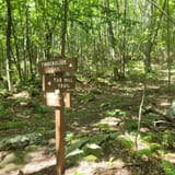 Mount Davis Pennsylvania Highpoint Trail, Pennsylvania - 642 Reviews ...