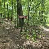 Hoye Crest (Backbone Mountain), West Virginia - 557 Reviews, Map ...