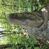 Hoye Crest (Backbone Mountain), West Virginia - 557 Reviews, Map ...