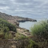 Point Loma Tidepools and Coastal Trail, California - 620 Reviews, Map ...
