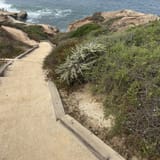 Point Loma Tidepools and Coastal Trail, California - 620 Reviews, Map ...