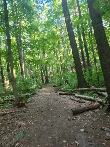 Best Hikes and Trails in Alliston | AllTrails