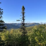 Angel Rocks Trail, Alaska - 758 Reviews, Map | AllTrails