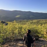 Angel Rocks Trail, Alaska - 758 Reviews, Map | AllTrails