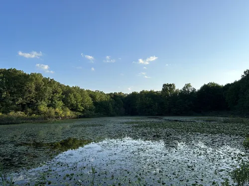Best Hikes and Trails in Clay Pit Ponds State Park Preserve | AllTrails