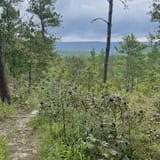 Pin-Chin-Sky Loop, Alabama - 677 Reviews, Map | AllTrails