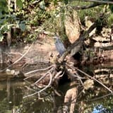 Murfreesboro Greenway System , Tennessee - 834 Reviews, Map | AllTrails