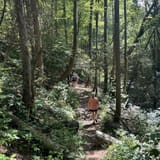 Coleman River Trail, Georgia - 138 Reviews, Map | AllTrails
