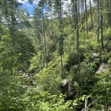 Coleman River Trail, Georgia - 138 Reviews, Map | AllTrails