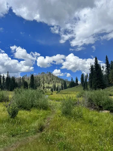 10 Best Hikes and Trails in Apache Sitgreaves National Forest | AllTrails