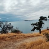Lake Natoma American River Trail, California - 2,471 Reviews, Map ...