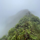 Manana Ridge Trail to Ko'olau Summit, Oahu, Hawaii - 172 Reviews, Map ...