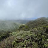 Manana Ridge Trail to Ko'olau Summit, Oahu, Hawaii - 172 Reviews, Map ...