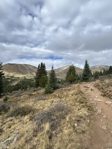 Best 10 Hiking Trails in Mount Massive Wilderness | AllTrails