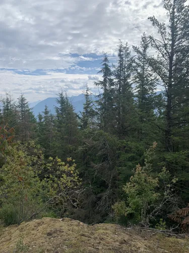 2023 Best 10 Trail Running Trails in Vedder Mountain Interpretive ...