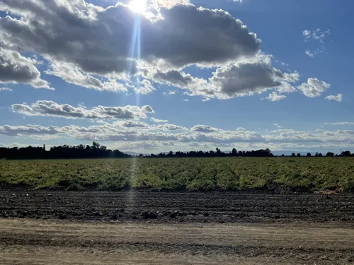 Best Hikes and Trails in Davis | AllTrails