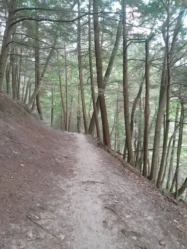 2023 Best Walking Trails in Muskegon State Park | AllTrails