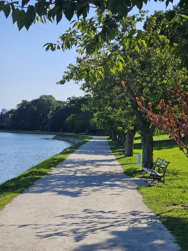 Best Hikes and Trails in Brookline Reservoir Park | AllTrails