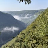 Tioga West Rim Trail, Pennsylvania - 551 Reviews, Map | AllTrails