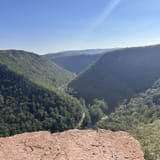 Tioga West Rim Trail, Pennsylvania - 551 Reviews, Map | AllTrails