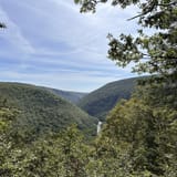 Tioga West Rim Trail, Pennsylvania - 502 Reviews, Map | AllTrails