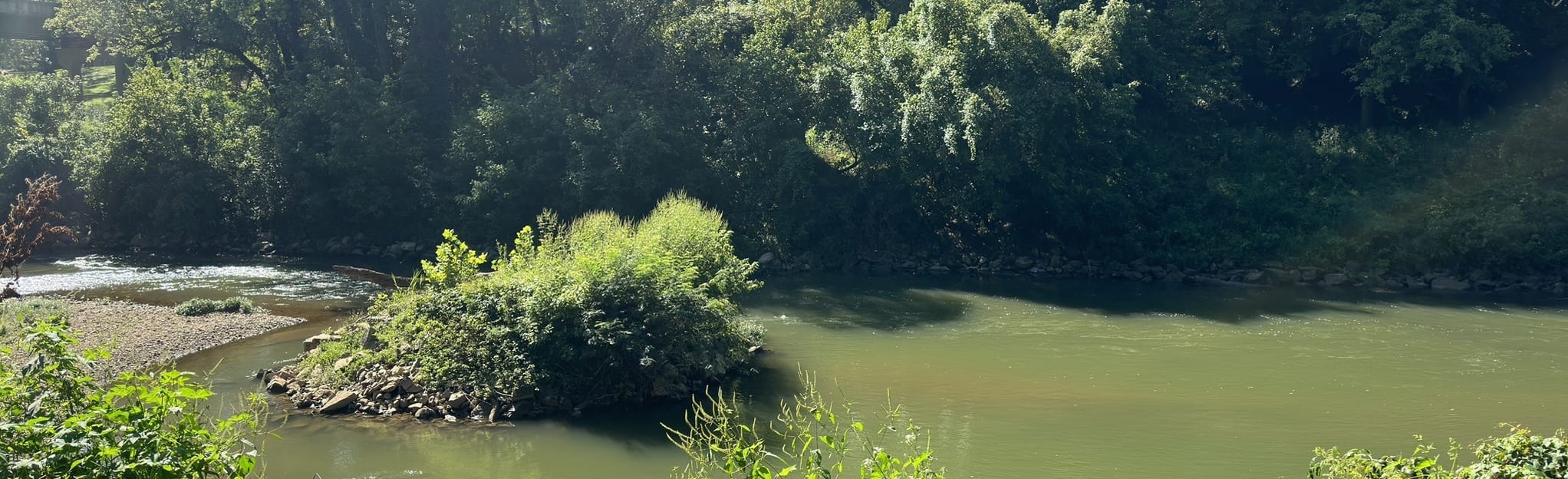 River Bottom Trail , Tennessee - 126 Reviews, Map | AllTrails