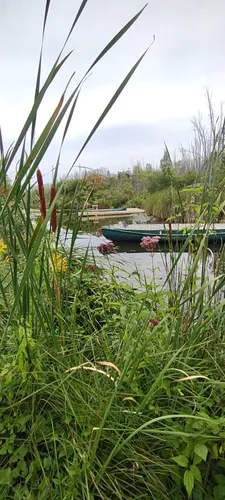 Best Hikes and Trails in Wye Marsh National Wildlife Area | AllTrails