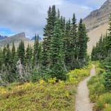 Piegan Pass Trail, Montana - 150 Reviews, Map | AllTrails