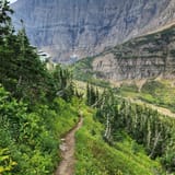 Piegan Pass Trail, Montana - 330 Reviews, Map | AllTrails