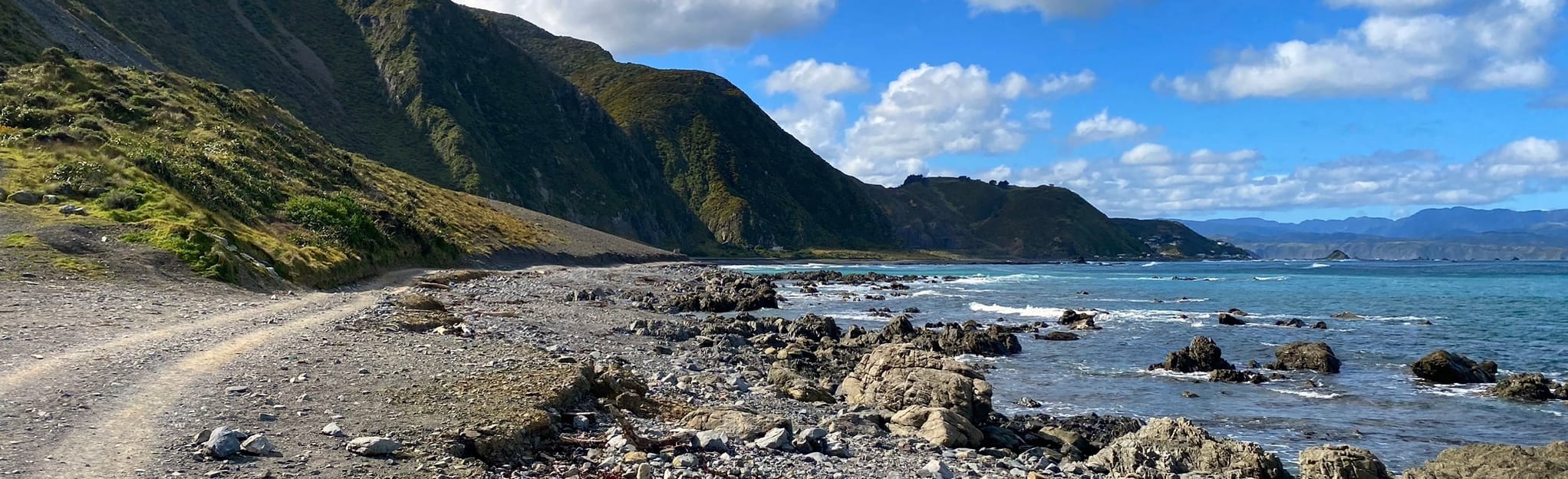 Red Rocks Coastal Walk: 111 fotos - Wellington, Nova Zelândia | AllTrails
