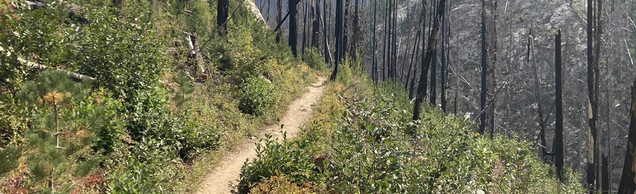 Entiat River OHV Trail, Washington - 4 Reviews, Map | AllTrails