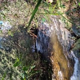 Taggerty River Lookout Loop, Victoria, Australia - 52 Reviews, Map ...