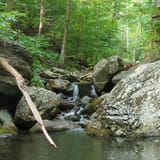 Cedar Run Falls Trail, Virginia - 660 Reviews, Map | AllTrails