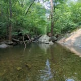 Cedar Run Falls Trail, Virginia - 660 Reviews, Map | AllTrails