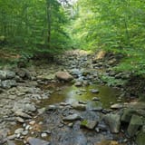 Cedar Run Falls Trail, Virginia - 659 Reviews, Map | AllTrails