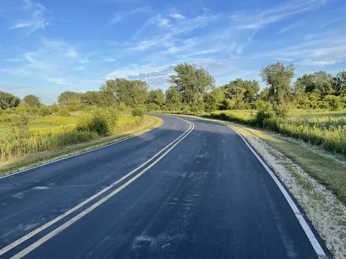 Best Hikes and Trails in Songbird Slough Forest Preserve | AllTrails