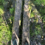 Mount Success via Appalachian Trail, New Hampshire - 391 Reviews, Map ...